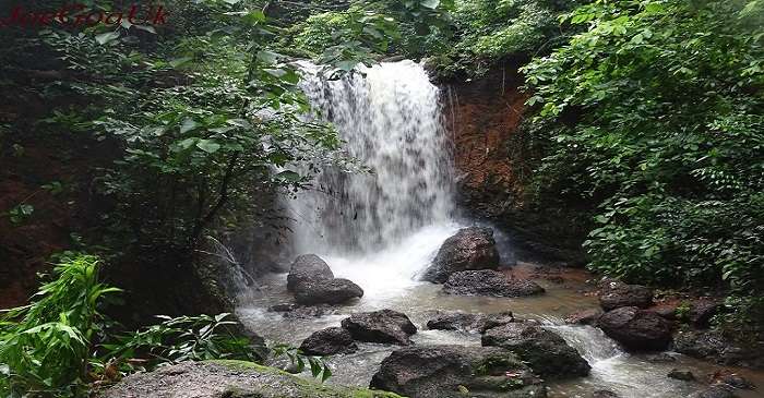 Kesarval Waterfalls Guide To Explore Goa’s Scenic Spot In 2025