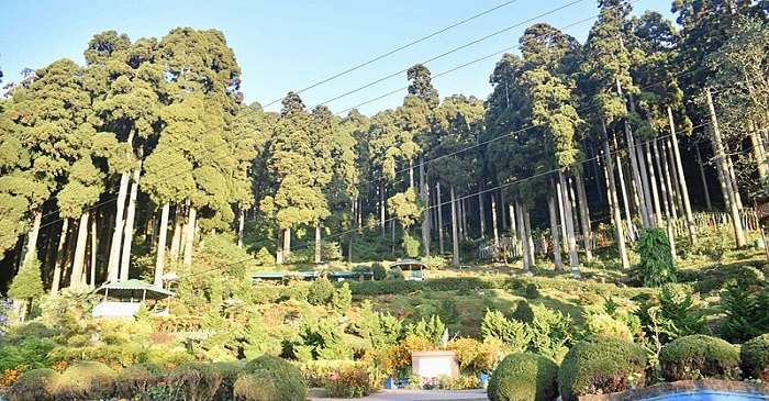 Lamahatta Resorts To Get The Stunning Views Of Darjeeling