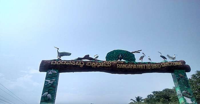 Ranganathittu Bird Sanctuary Is A Paradise For Bird Lovers In 2025