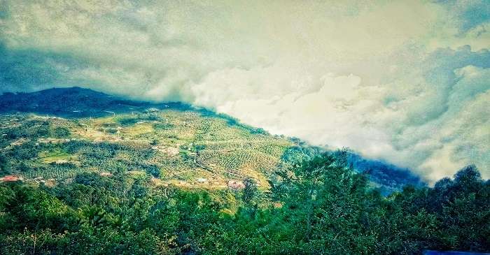 Tingling View Point Is A Scenic Paradise For Travellers In 2026