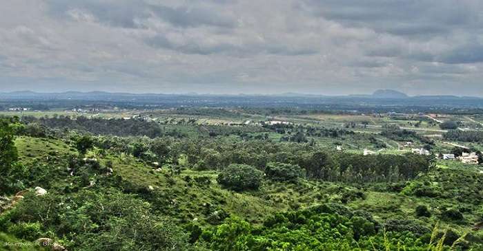 Turahalli Forest Bangalore Guide To A Tranquil Paradise