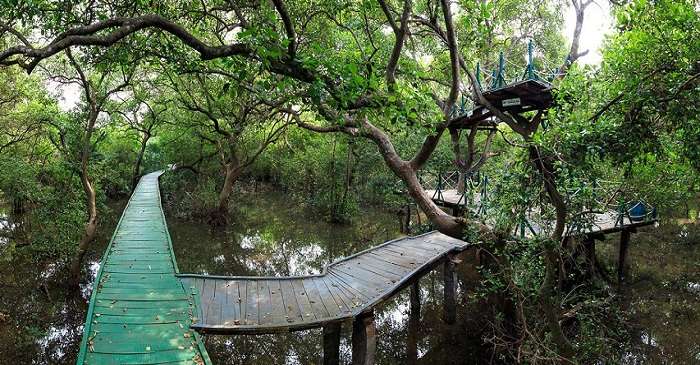 Coringa Wildlife Sanctuary Explore The Best Places To Visit In 2025