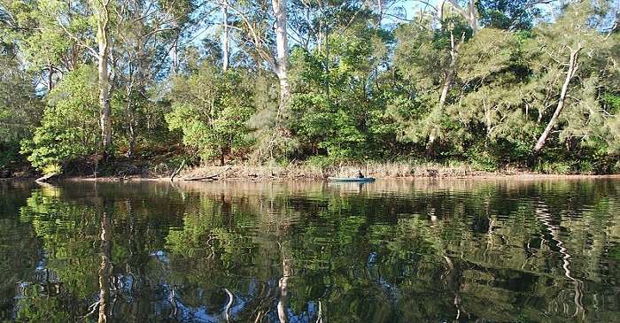 Wyong Travel Guide To Explore Top Attractions On 2025 Australia Trip
