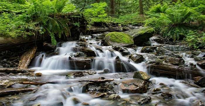 Eureka Falls And Get 7 Effective Tips For An Amazing Visit In 2026