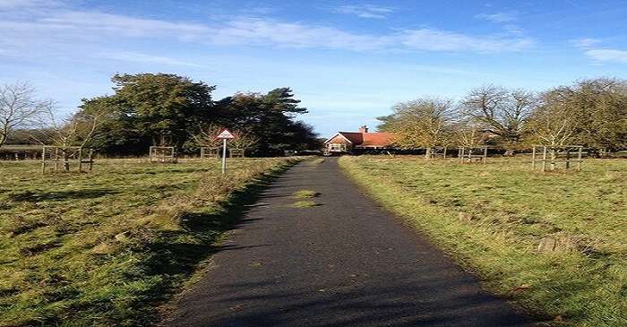 Things To Do In Rolleston Top Picks For Nature Lovers