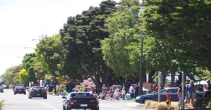 Pahiatua To Experience Peace And Adventure In 2025 New Zealand Trip