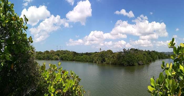 Madol Duwa In Sri Lanka Tour With A Detailed Guide For 2025