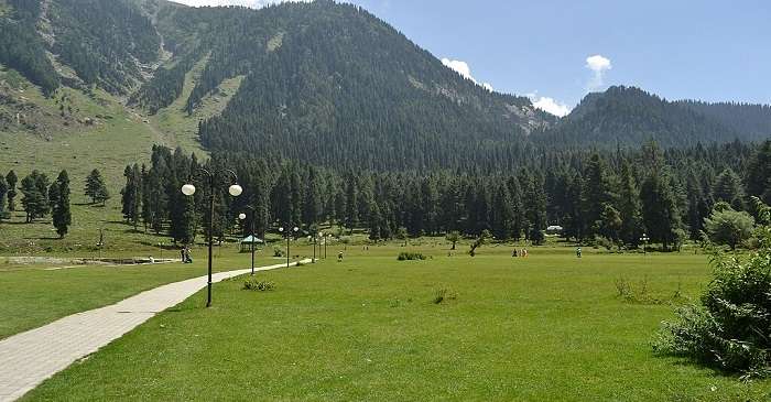 Wadiy e Hajan Guide To Explore The Scenic Place In Kashmir