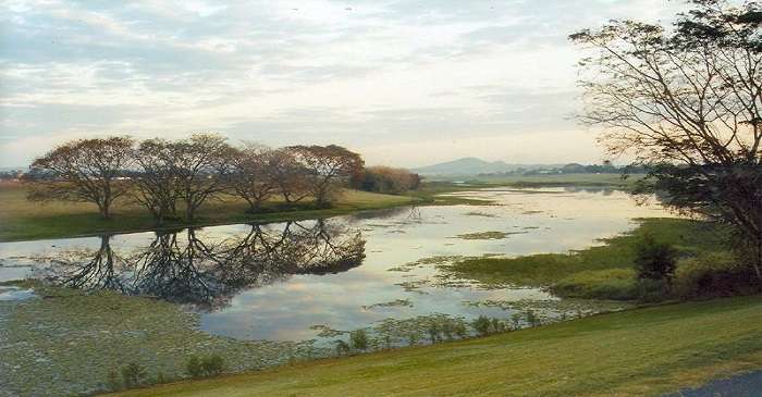 Pubs In Mackay To Explore The Nightlife In 2025 Australia Trip