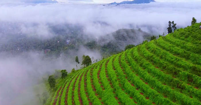 5 Best Resorts In Manjeri For A Relaxing Stay In Kerala 2025