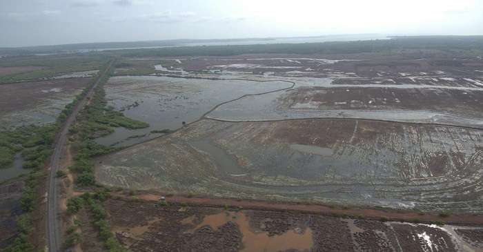 Khazan Land In Goa A Guide To Explore Coastal Wetlands In 2026