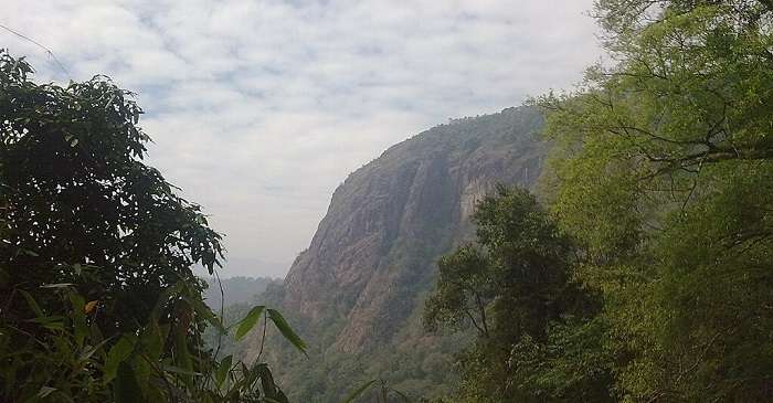 Neelimala View Point Wayanad 2025 – Guide, Activities & Tips