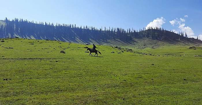 Tosa Maidan Is A Surreal Destination You Must Explore In 2025