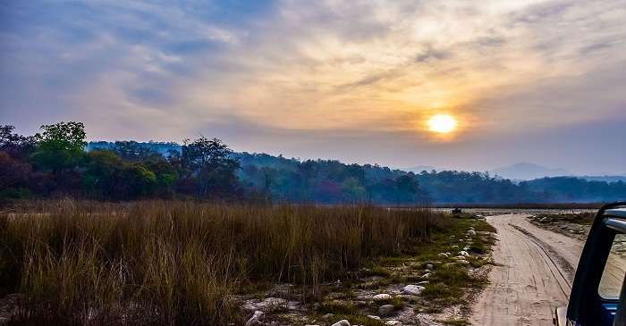 Jungle Safari In Rajaji National Park Is The Best Way To Explore
