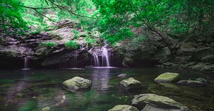 Nagalapuram Waterfalls To Experience The Enchanting View
