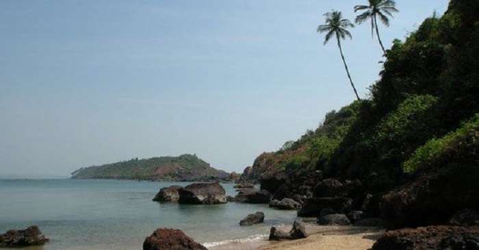 Bat Island Guide To Discover Nature's Secret Paradise In 2026