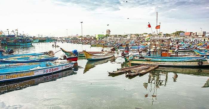 Royapuram Guide To 10 Best Things To Do And Activities