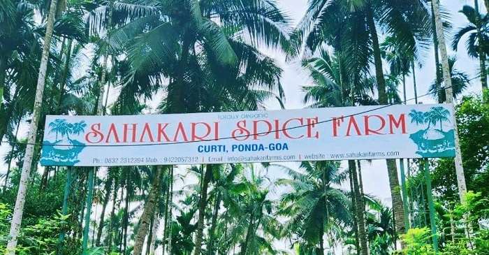 Sahakari Spice Farm To Explore Goa's Premier Spice Plantation