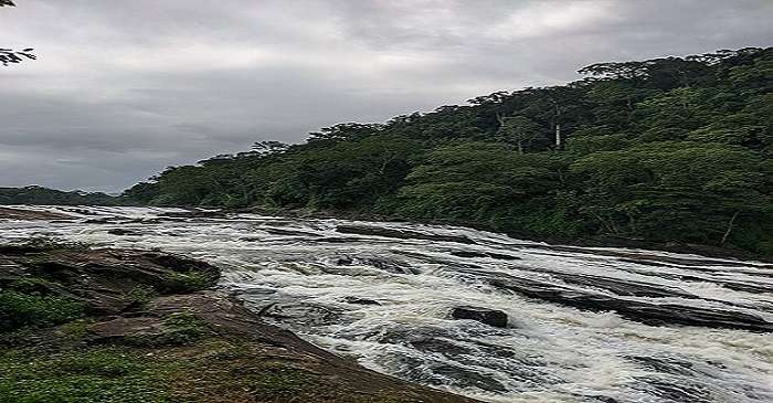 Vazhachal Waterfalls To Explore The Majestic Beauty In 2026