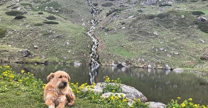 Yulla Kanda Trek Guide To Hike To The Highest Krishna Temple