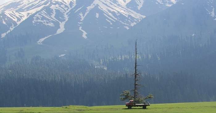 Chiranbal Valley To Discover The Serene Beauty Of Kashmir
