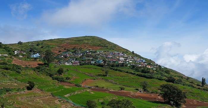 Velangudi Guide For An Authentic Rural Experience In 2026