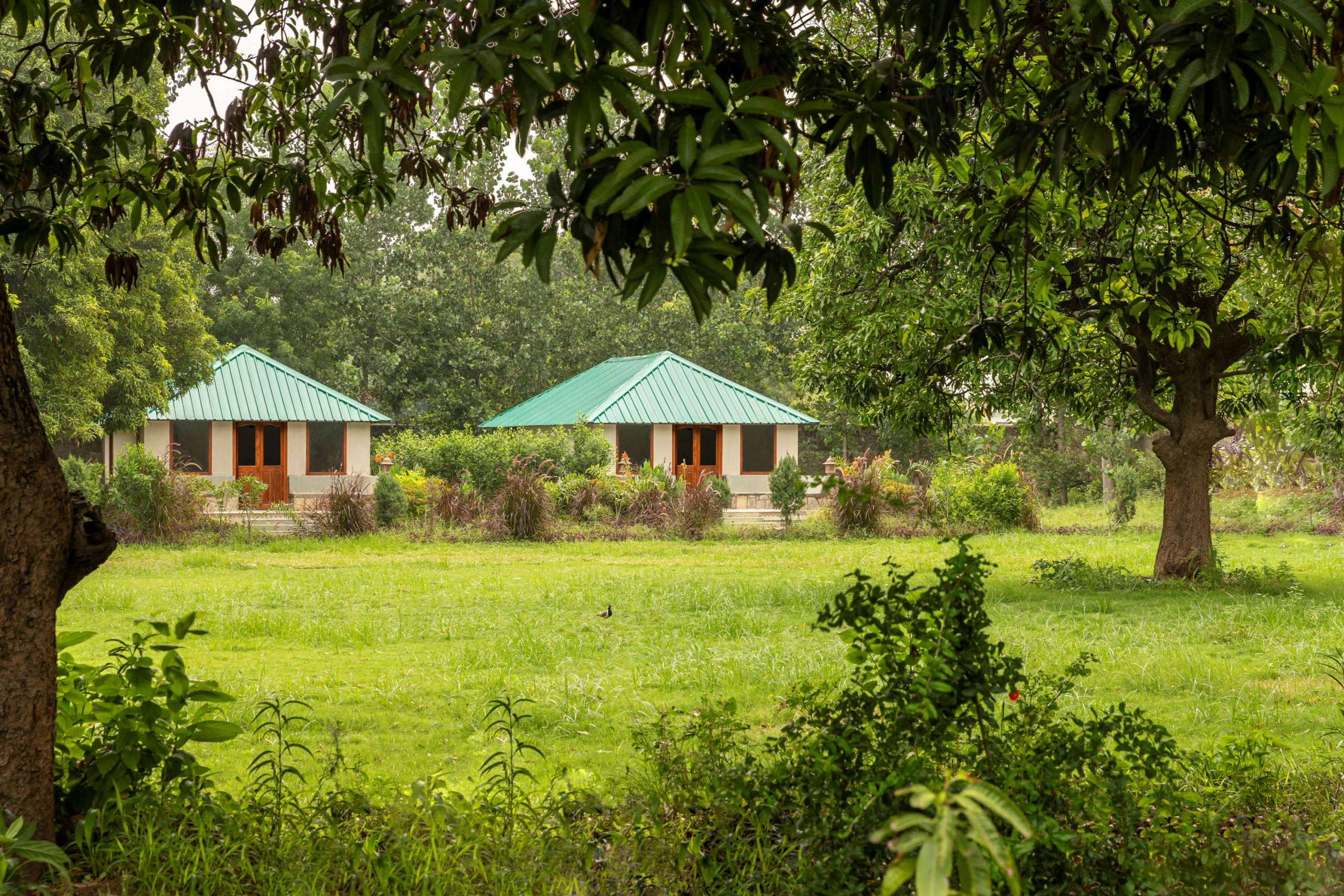 10 Wildlife Resorts in India That are Perfect for Staycation