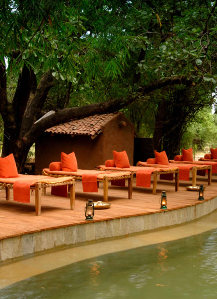 10 Wildlife Resorts in India That are Perfect for Staycation